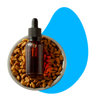 Olejek CBD dla psa - jak działa i kiedy warto go stosować?